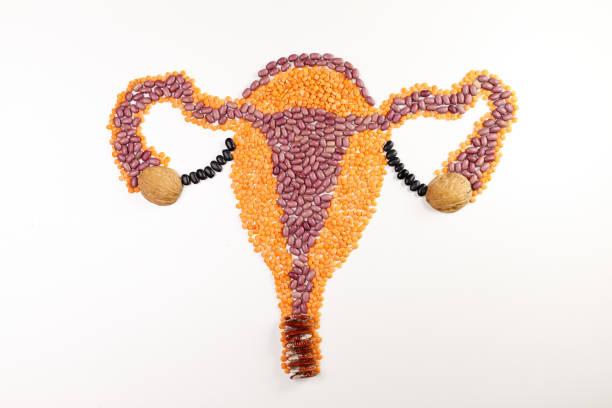 Sementes da Fertilidade - Entendendo Seu Poder e Benefícios