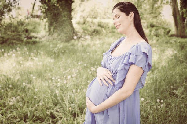 Sinfonia Da Vida Uma Abordagem Mais Artística E Poética